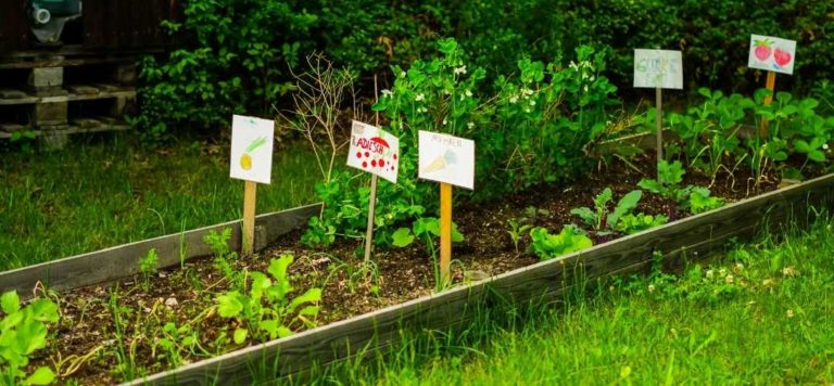 Habitat participatif, avantages et inconvénients